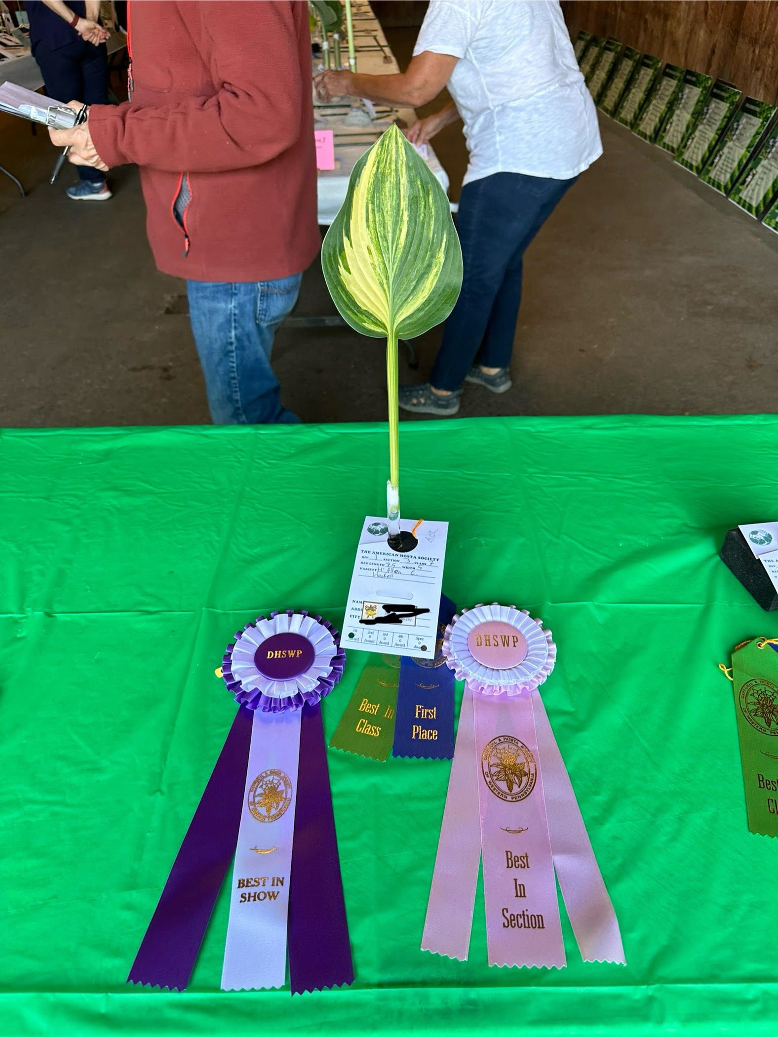 2024 Hosta Show – Daffodil and Hosta Society of Western Pennylvania